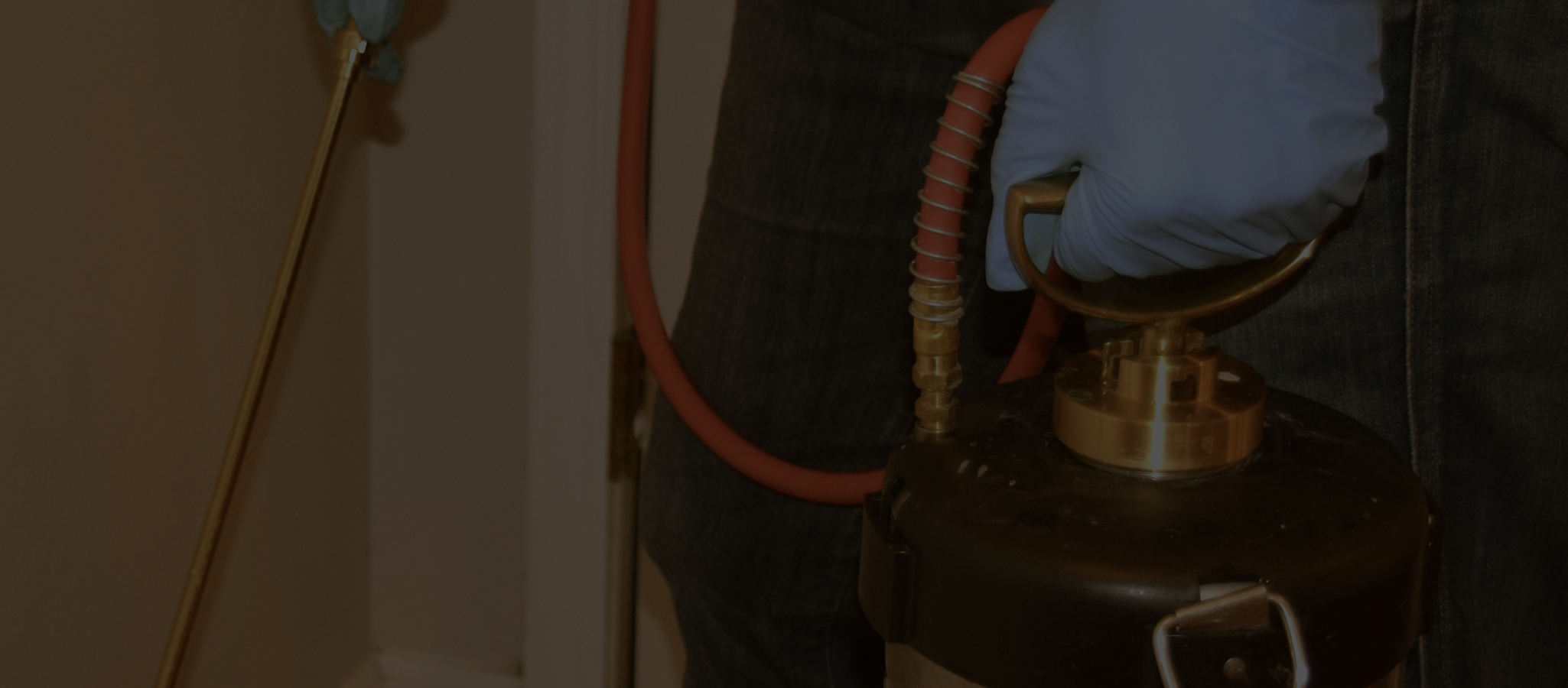 Pest Control Exterminator Near You 646 583 0611 116-01 222nd Street ...